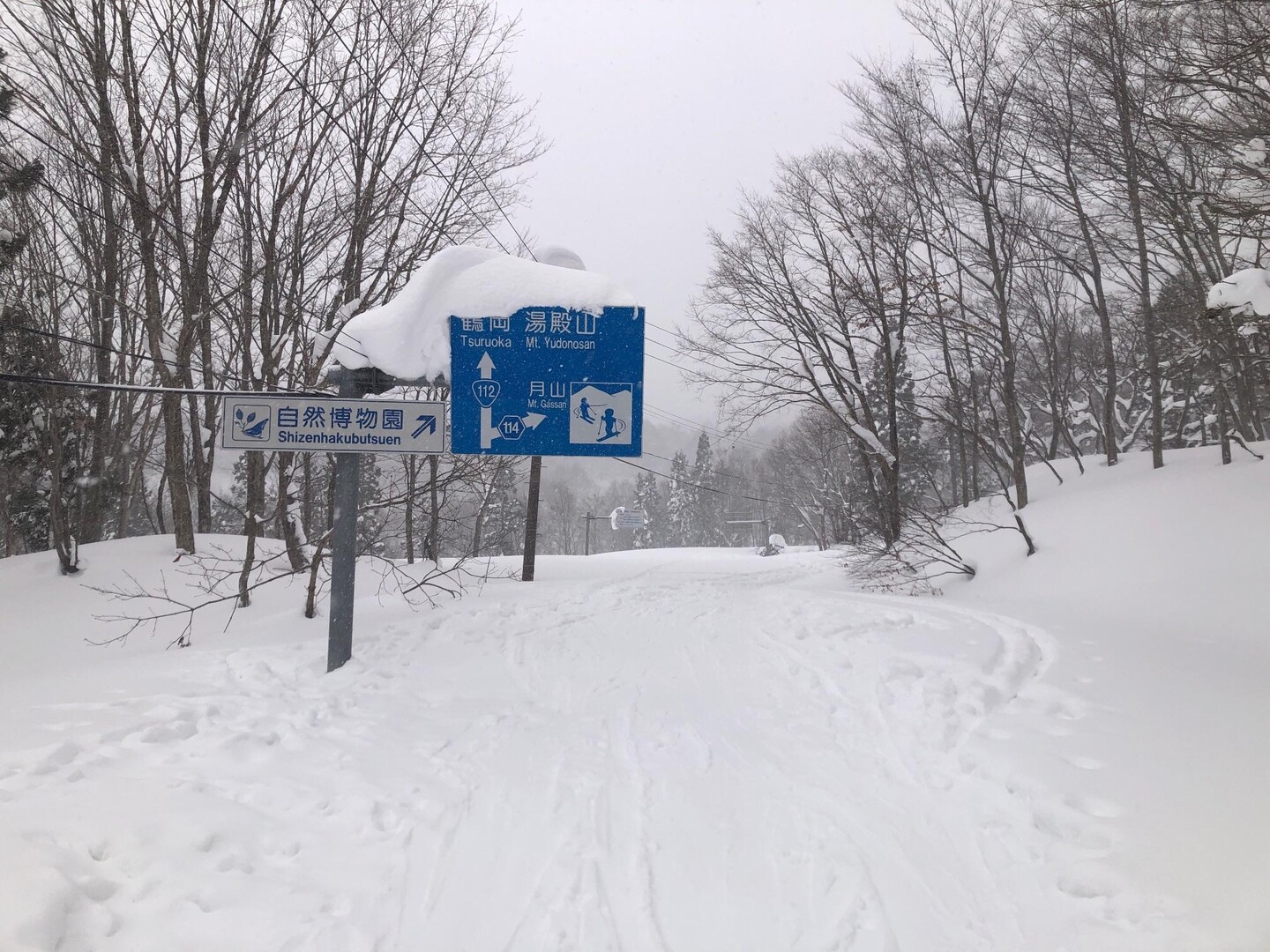 月山-2023-01-08 / MOSSさんの月山の活動データ | YAMAP / ヤマップ