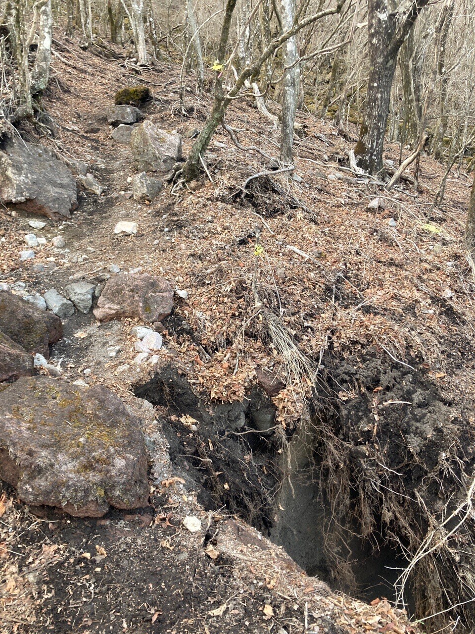 Tazさんの投稿したフィールドメモ | YAMAP / ヤマップ