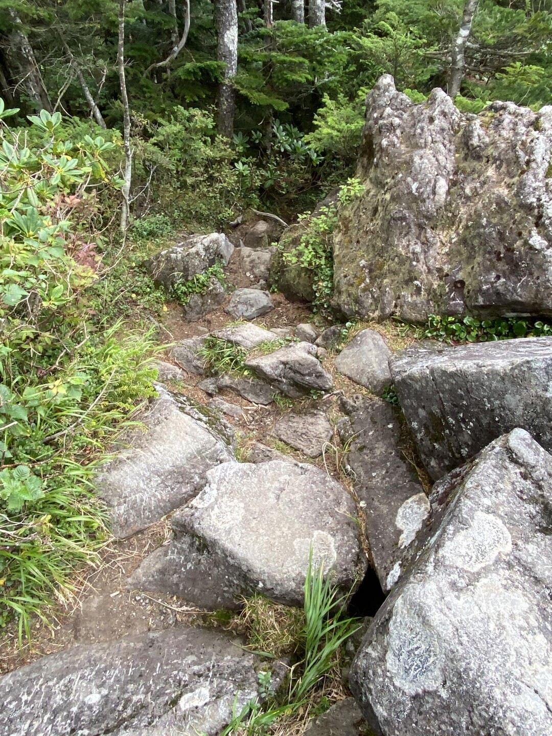 elieeさんの投稿したフィールドメモ | YAMAP / ヤマップ