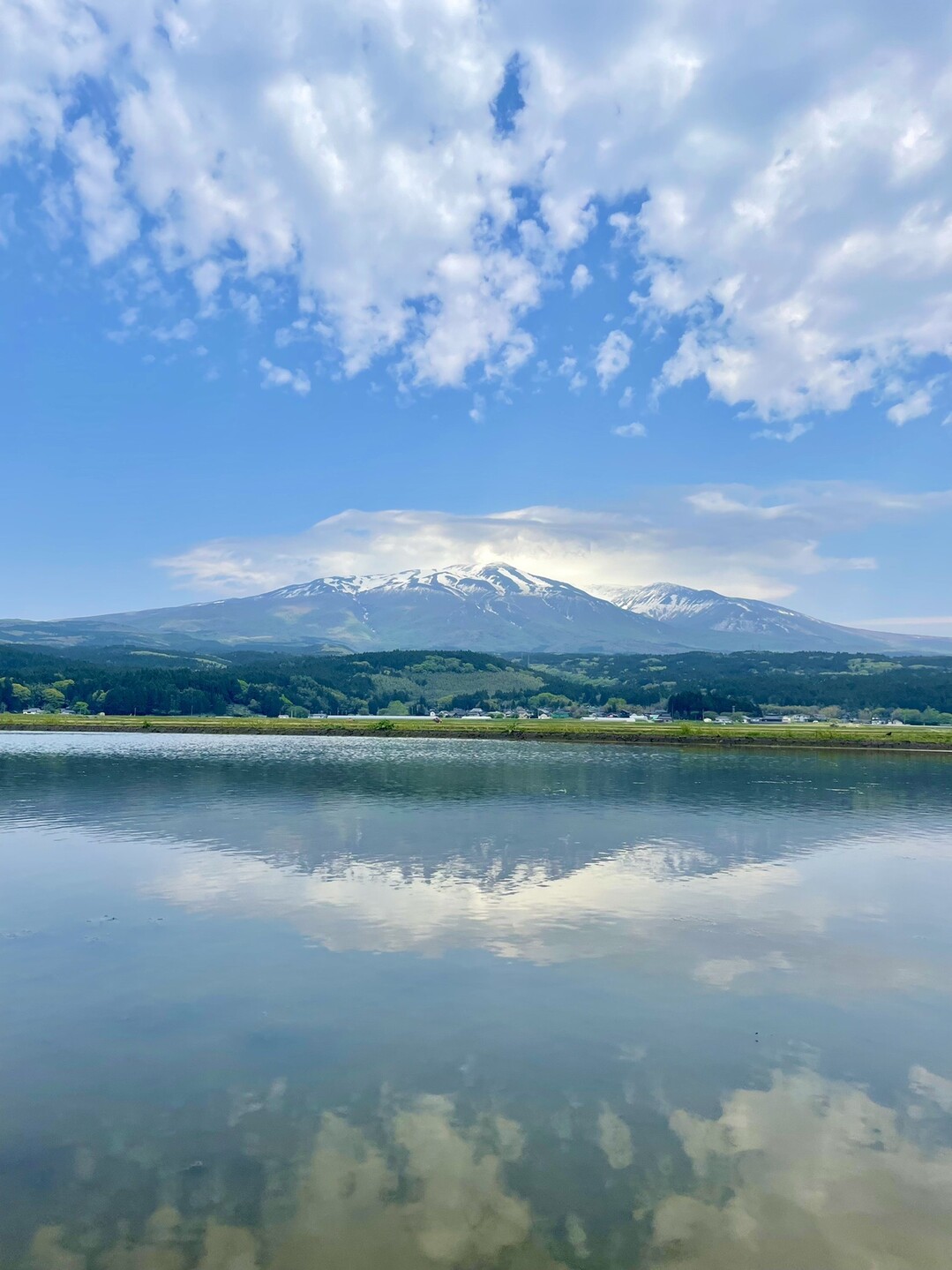 つい先日、1992年以来、観測史上2番目... / おこたんぺこさんのモーメント | YAMAP / ヤマップ