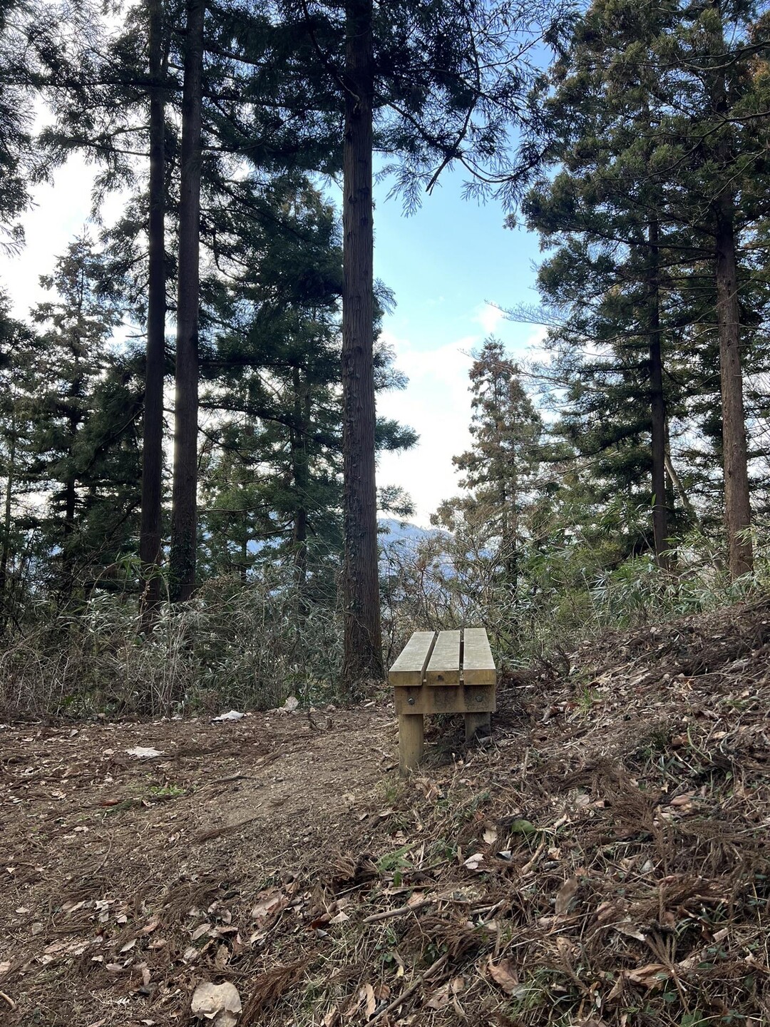 Amy(エイミー)さんの投稿したフィールドメモ | YAMAP / ヤマップ