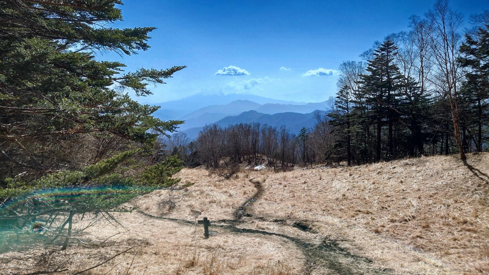 すっごい滑るよ⛰雁ヶ腹摺山 / capeta【リハビリ中？】さんの雁ヶ腹摺山・岩殿山の活動データ | YAMAP / ヤマップ