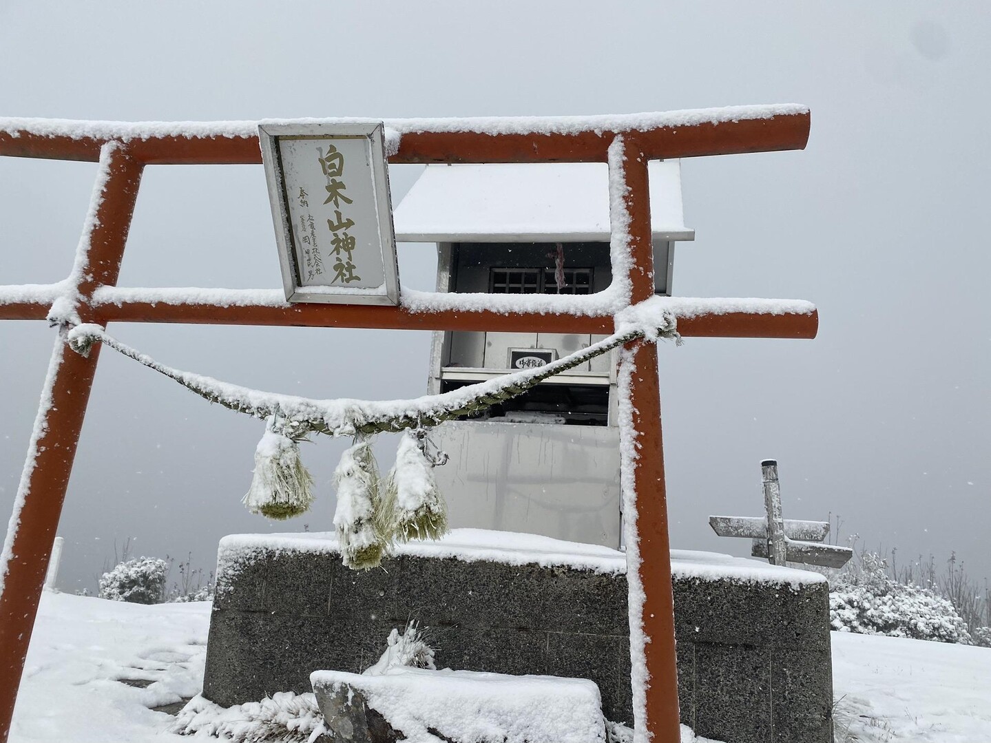 里山キング👑Part3 ♥️①座目 🗻白木山 / 万里さんの白木山・高松山・鬼ヶ城山の活動データ | YAMAP / ヤマップ