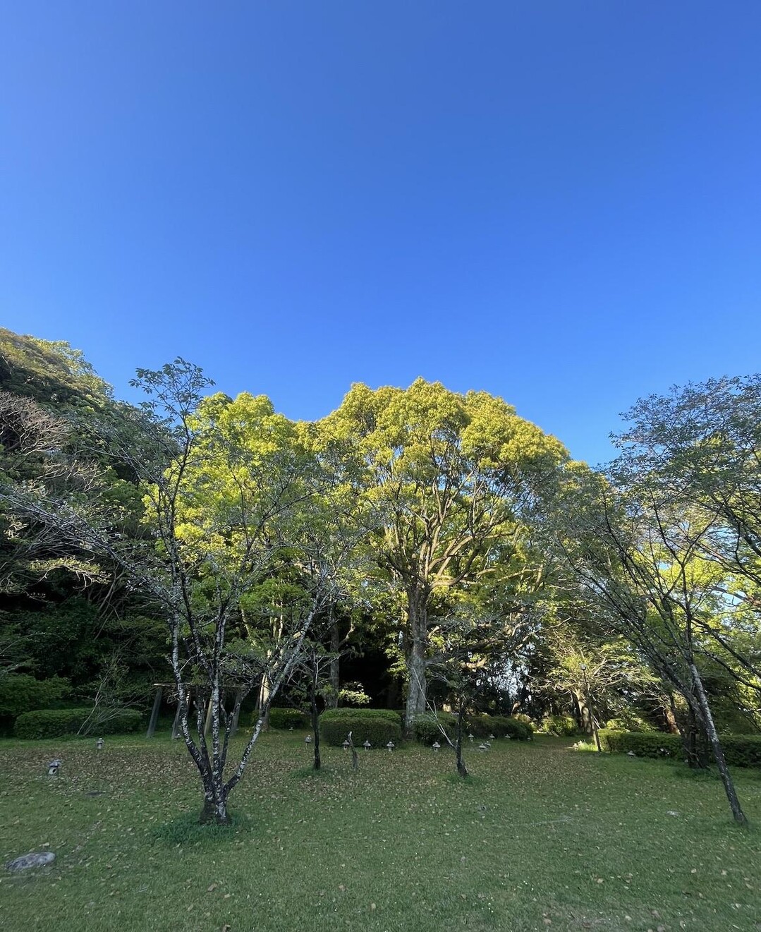 2023-04-09#651☀️99/365 / tama🏈さんのウォーキングの活動データ | YAMAP / ヤマップ