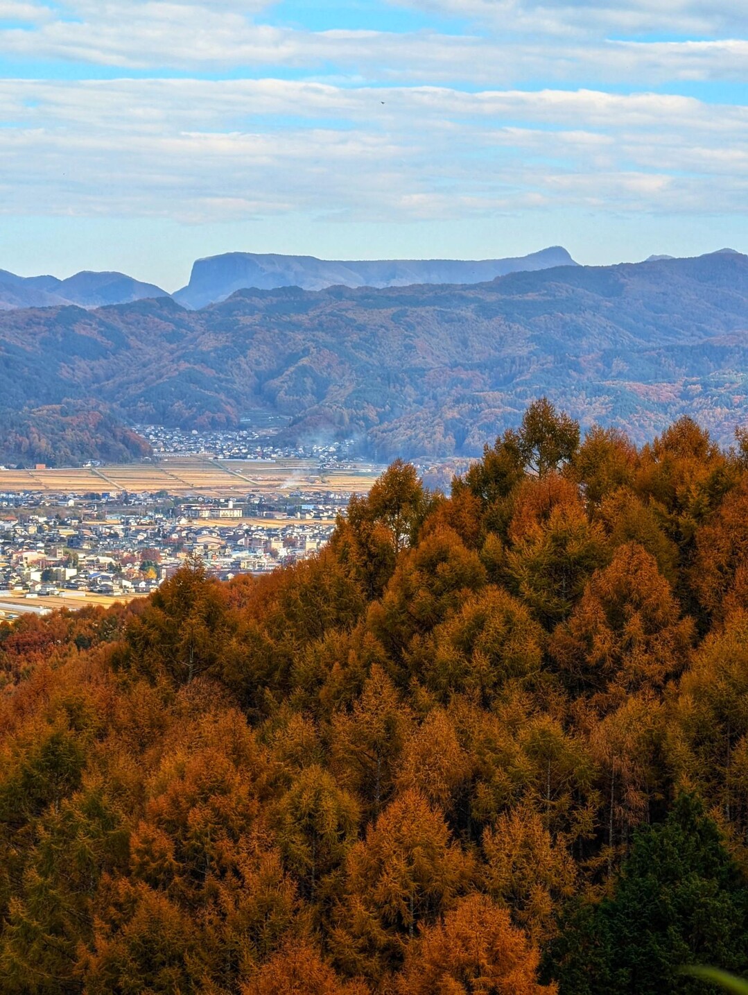 紅葉の虚空蔵山で昼ご飯 / senさんの虚空蔵山の活動データ | YAMAP / ヤマップ