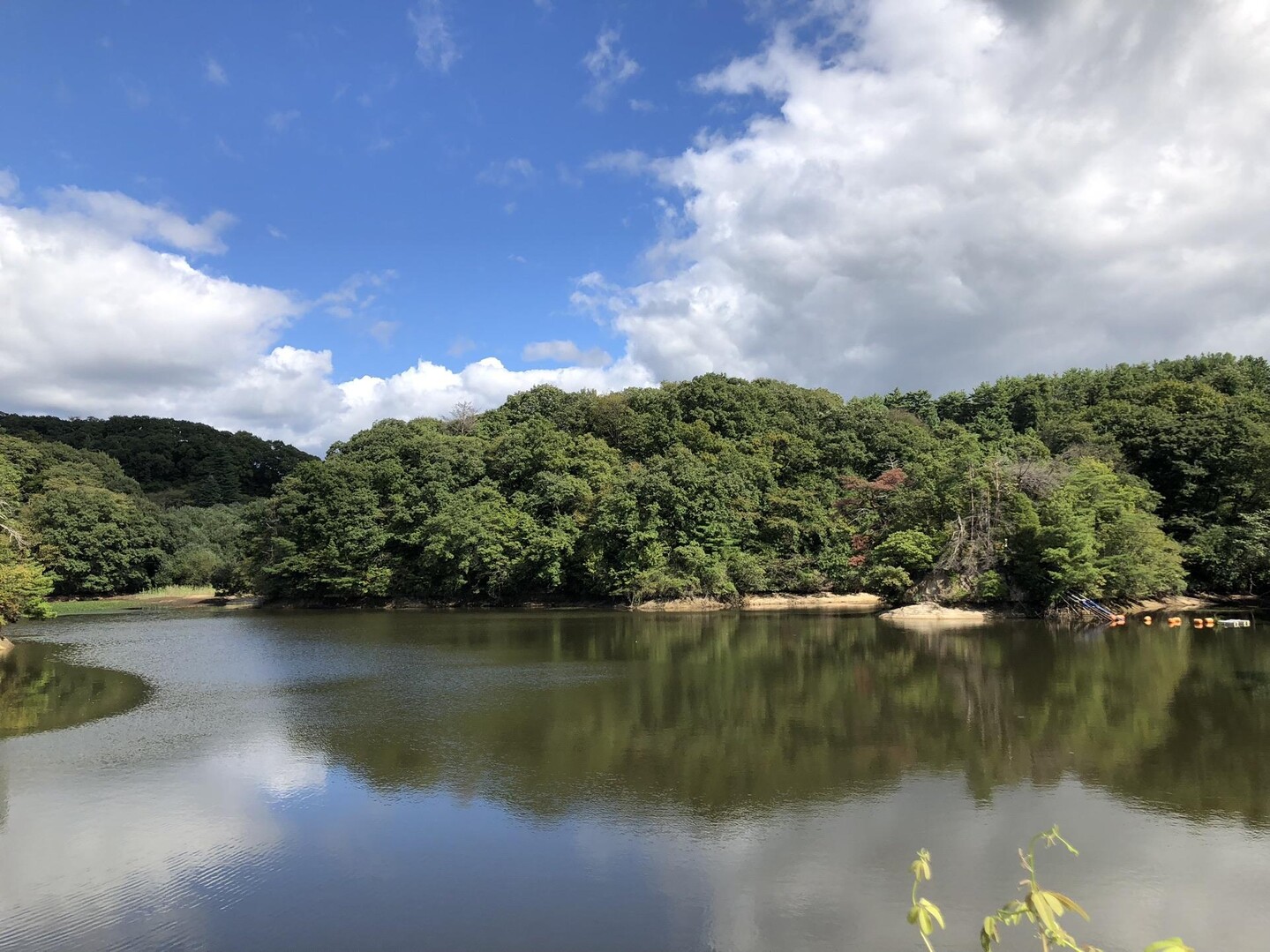 交野山 / Montana⭐️さんの交野山・国見山の活動日記 | YAMAP / ヤマップ