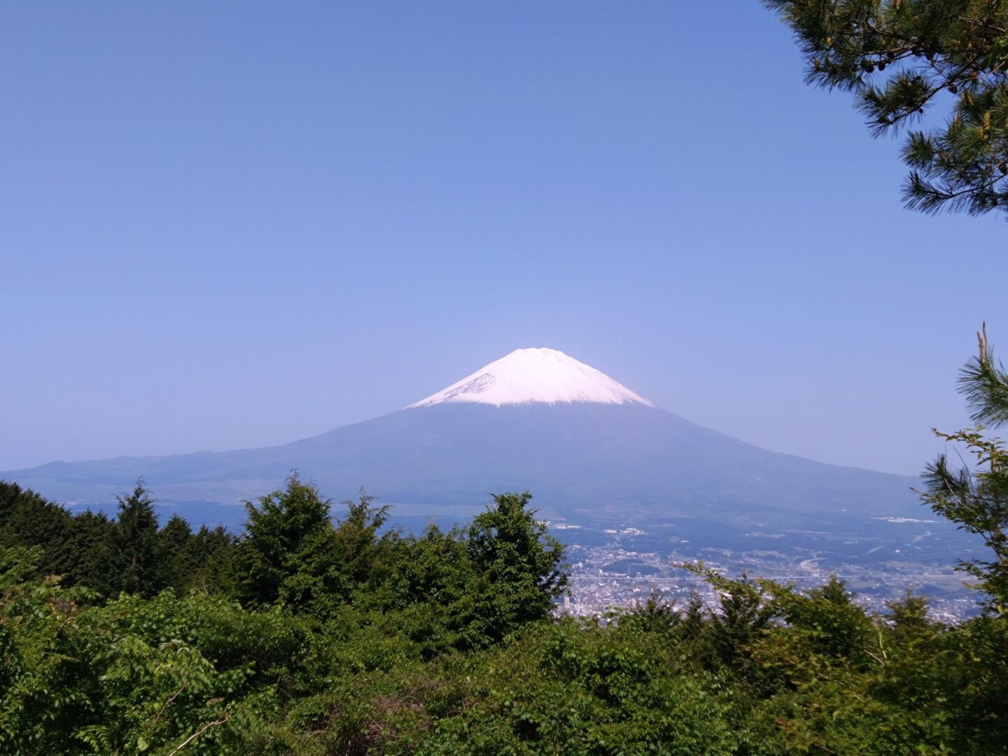 金時山(乙女峠〜山頂〜公時神社) / Nagaさんの箱根山・神山の活動データ | YAMAP / ヤマップ