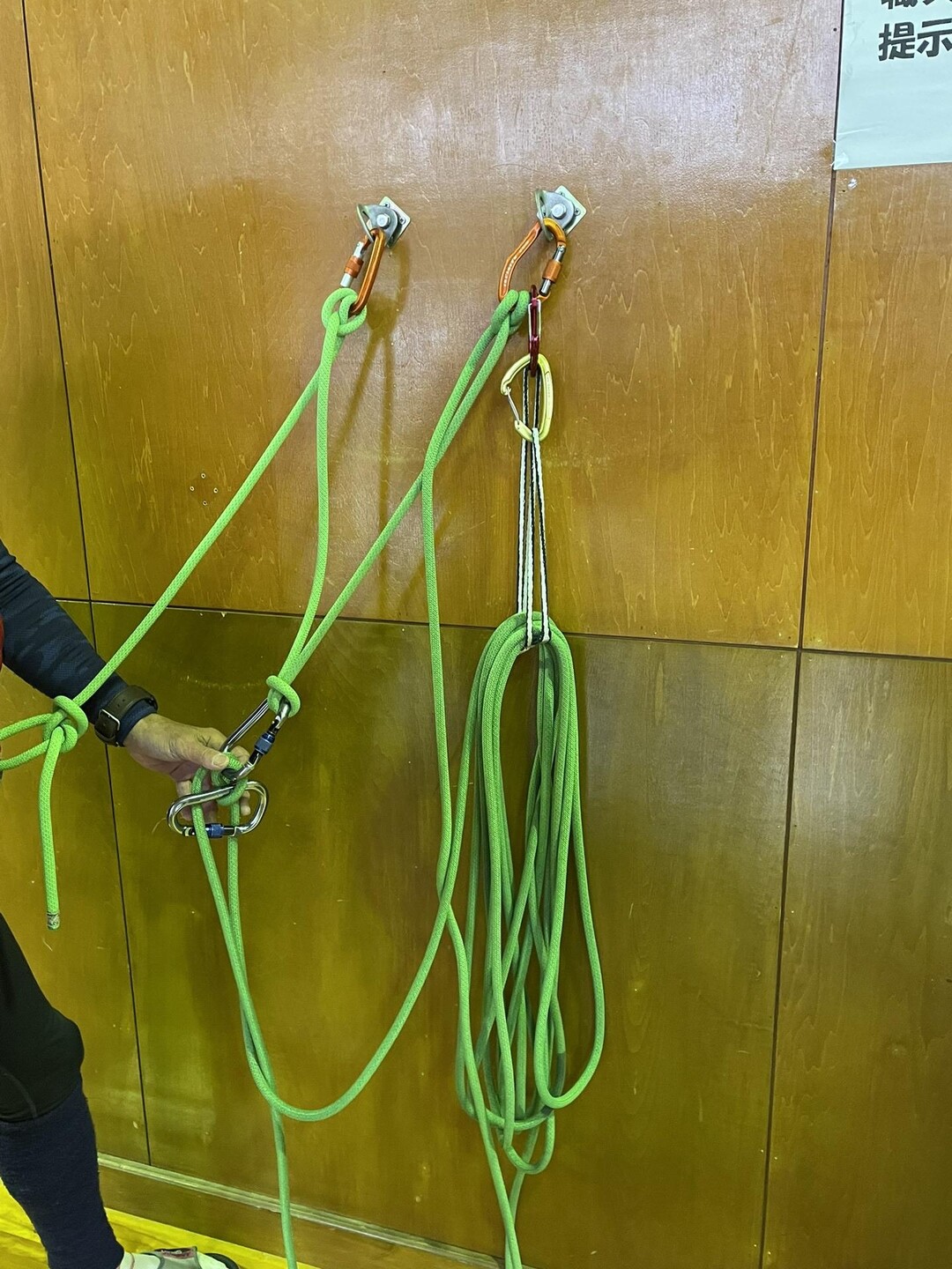 3/17 雨☔ 屋内でマルチの練習🪢 ... / ミチル🐾さんのモーメント | YAMAP / ヤマップ