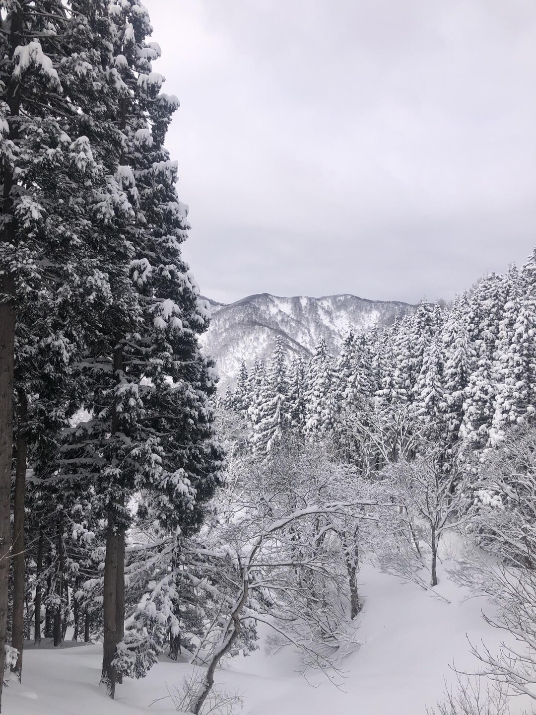 高峰 / yu__kaさんの高峰の活動日記 | YAMAP / ヤマップ