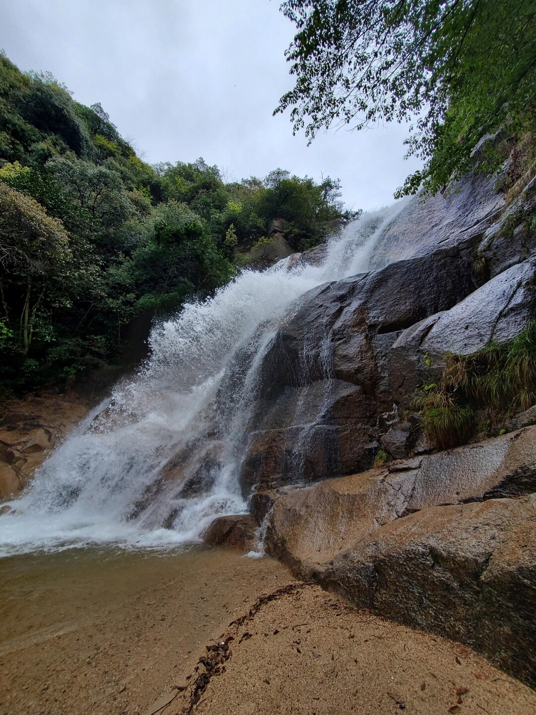 登山道から山頂往復1km以下の山登り😓 / あきさんの大野権現山・奥滝山・高見山の活動データ | YAMAP / ヤマップ