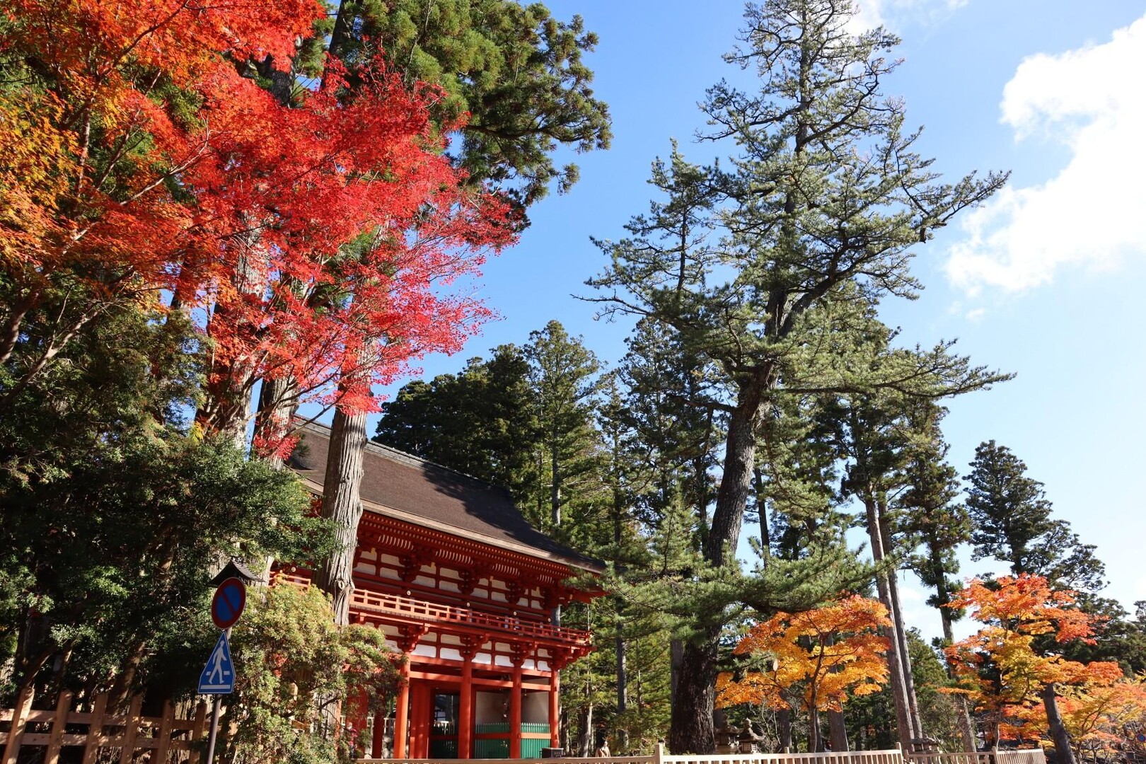 2022-11-05 高野山、龍神スカイライン / moonさんのハイキングの活動データ | YAMAP / ヤマップ