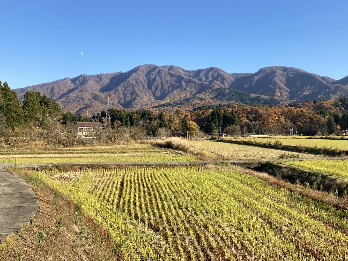 刈羽黒姫山 白倉コースから / mickey hoshinoさんの刈羽黒姫山の活動データ | YAMAP / ヤマップ