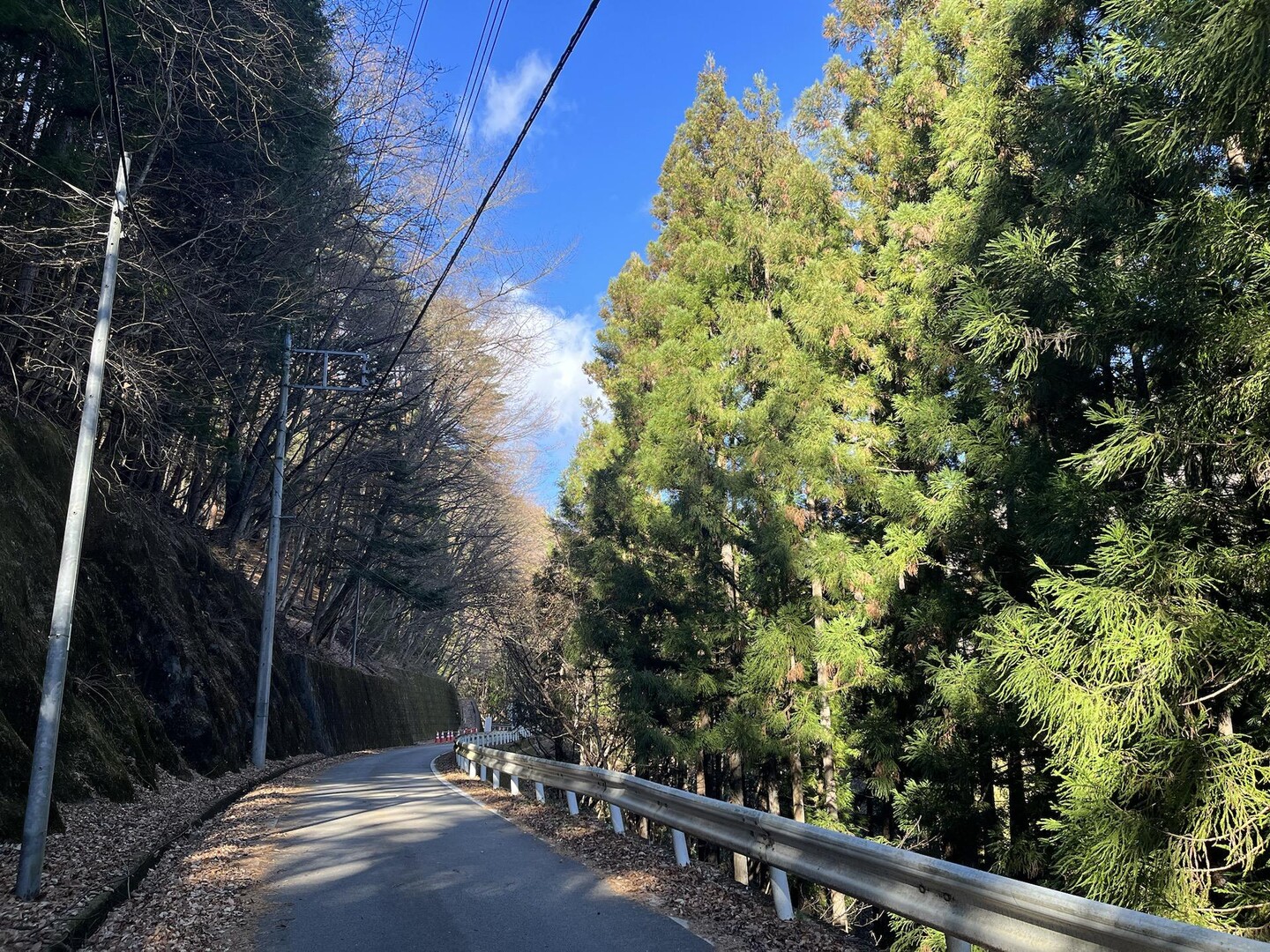 ヨモギノ頭・小雲取山 / koさんの雲取山・鷹ノ巣山・七ツ石山の活動データ | YAMAP / ヤマップ