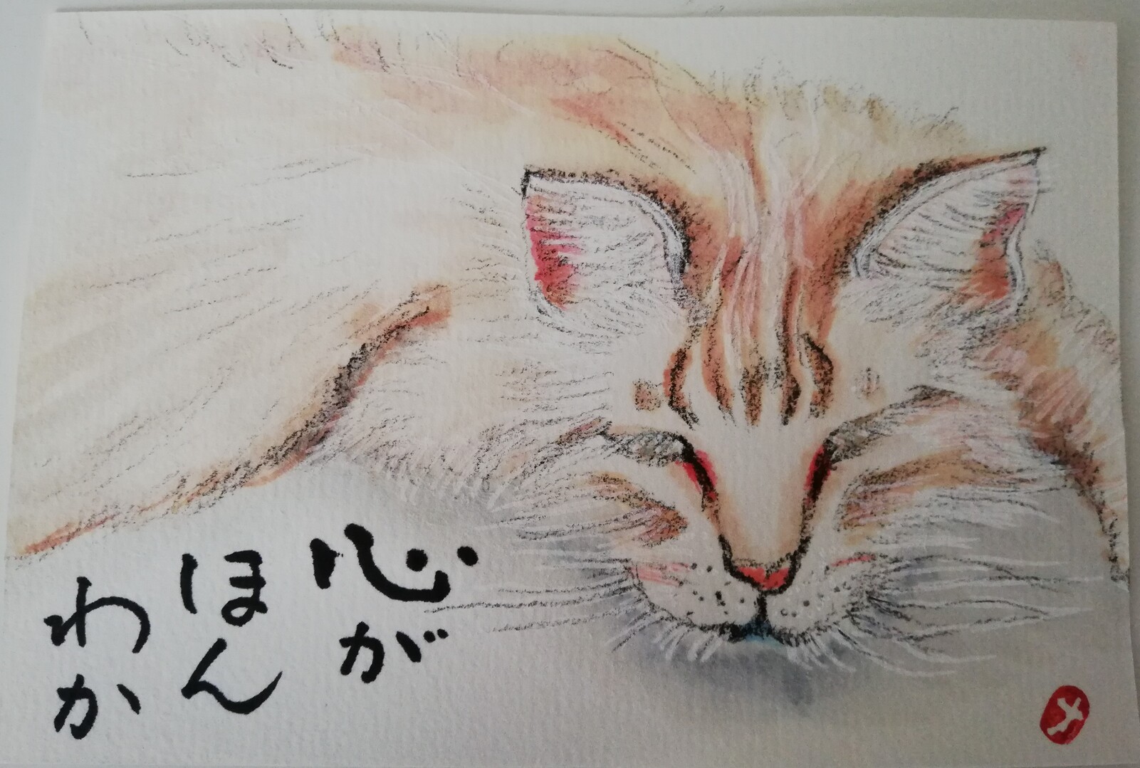 蓮乗寺と近くのお寺でご来光【前】三日かけて一筆書18km / maki816さんの金時山・明神ヶ岳の活動データ | YAMAP / ヤマップ