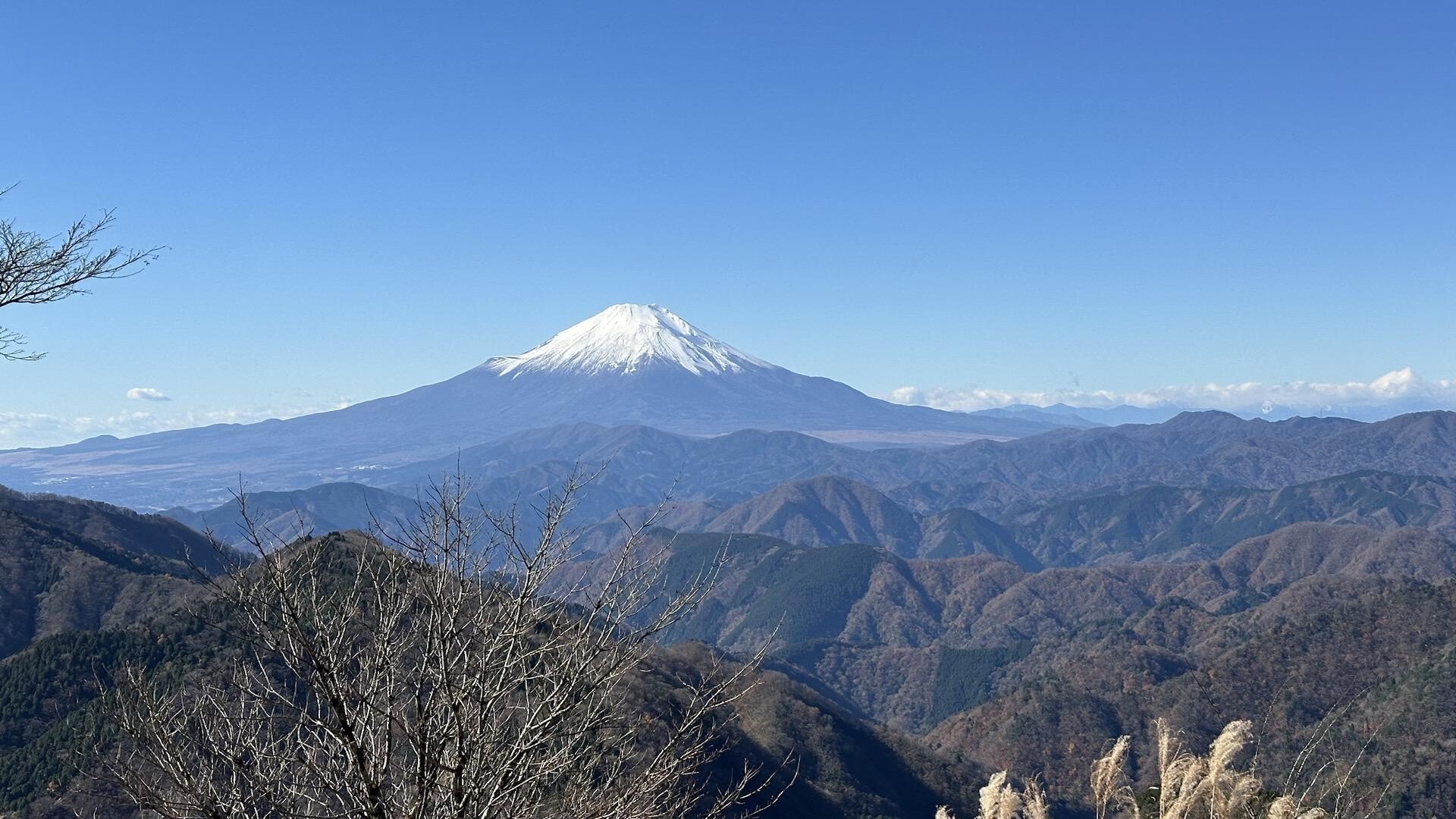 鍋割山 / Yuka Yさんの塔ノ岳・丹沢山・蛭ヶ岳の活動データ | YAMAP / ヤマップ