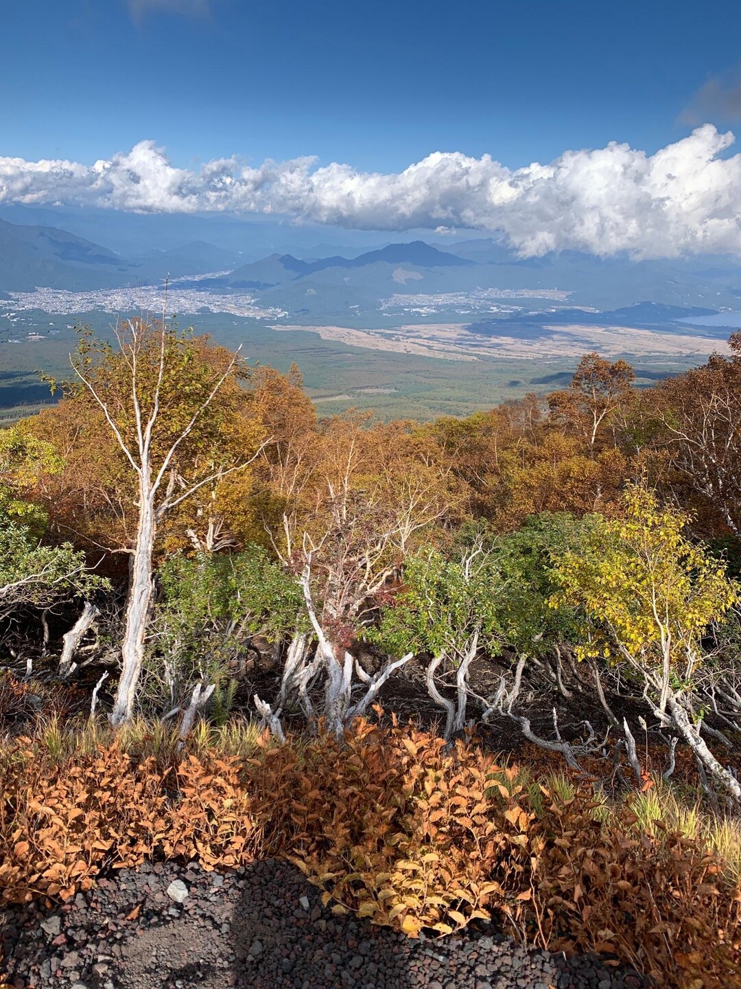 2023.10.17(火) 11:59 / MR-Tさんのモーメント | YAMAP / ヤマップ