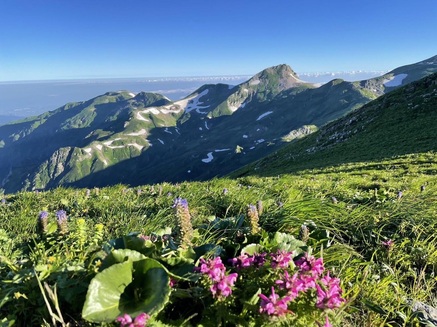 白馬三山(蓮華温泉〜白馬岳・杓子岳・白馬鑓ヶ岳〜猿倉) / maya_ponさんの白馬岳・小蓮華山の活動データ | YAMAP / ヤマップ