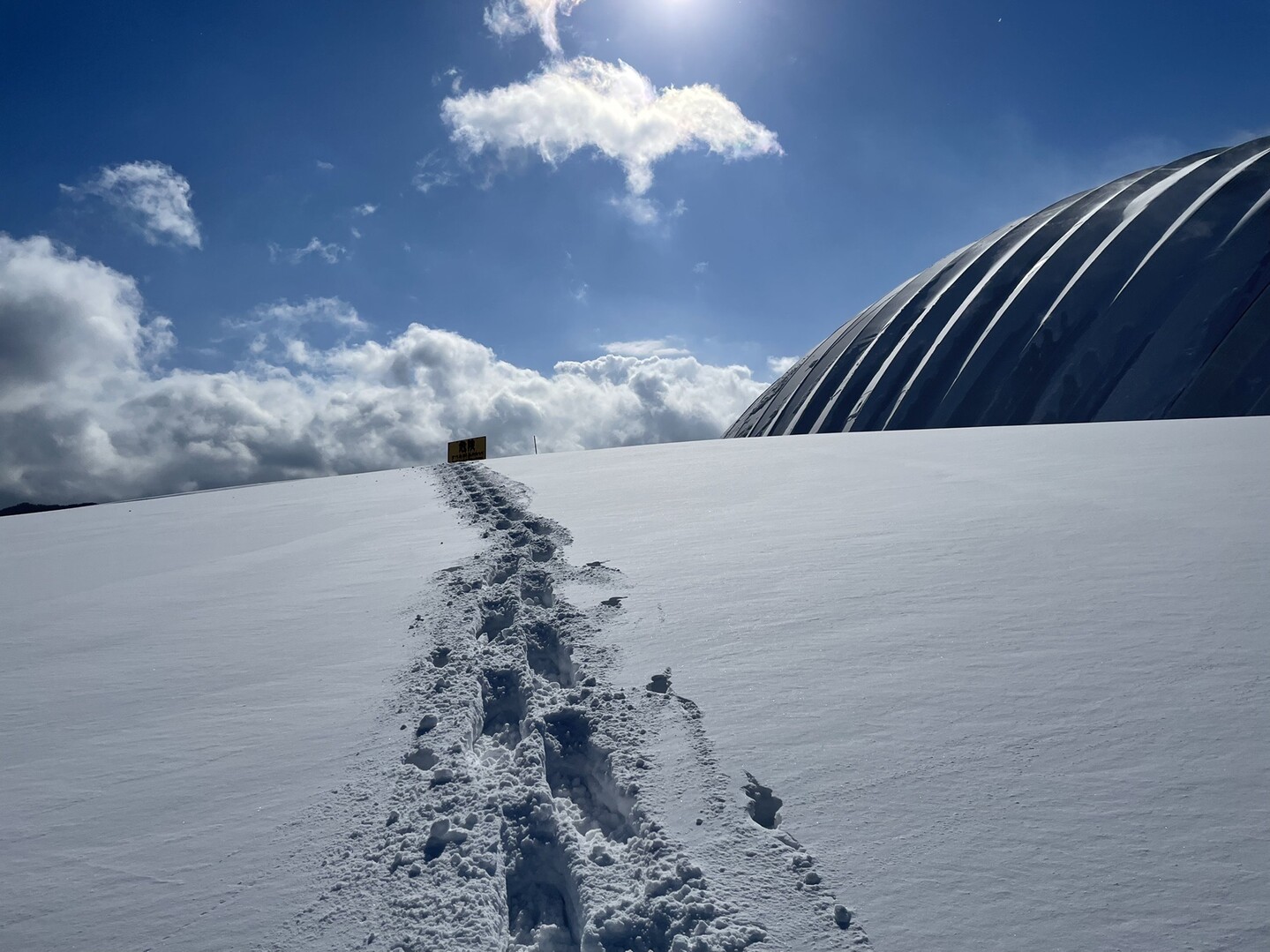 スノーシュー 語らいの森🌲 / nepukoさんのウォーキングの活動データ | YAMAP / ヤマップ
