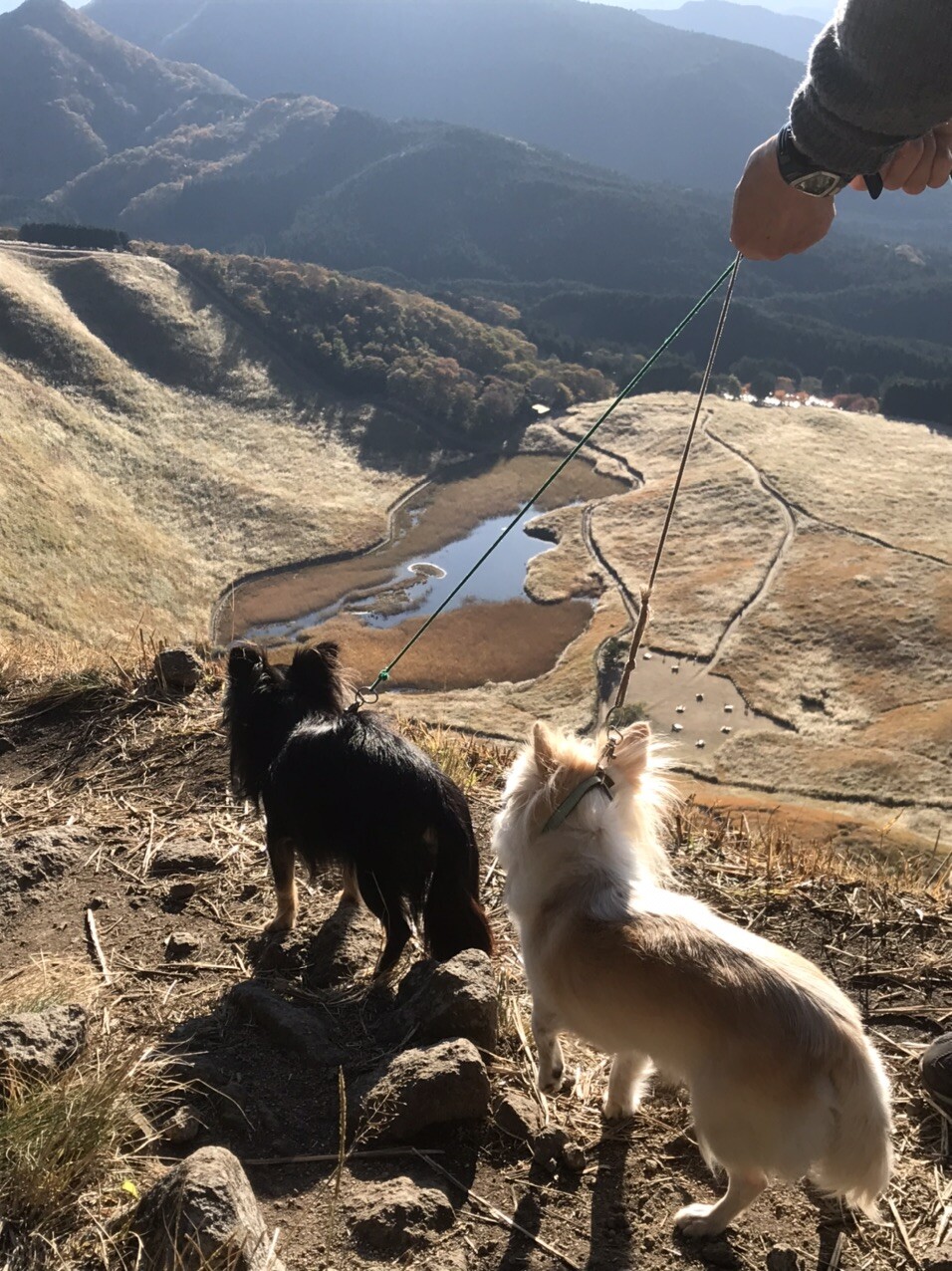 chiwachiwaのページ | YAMAP / ヤマップ