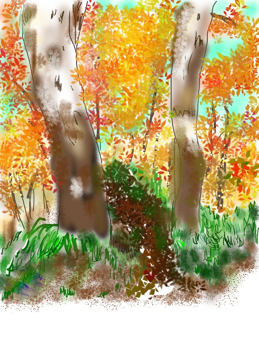 iPadでお絵かき🙃 公開するようなシ... / clearkkさんのモーメント | YAMAP / ヤマップ