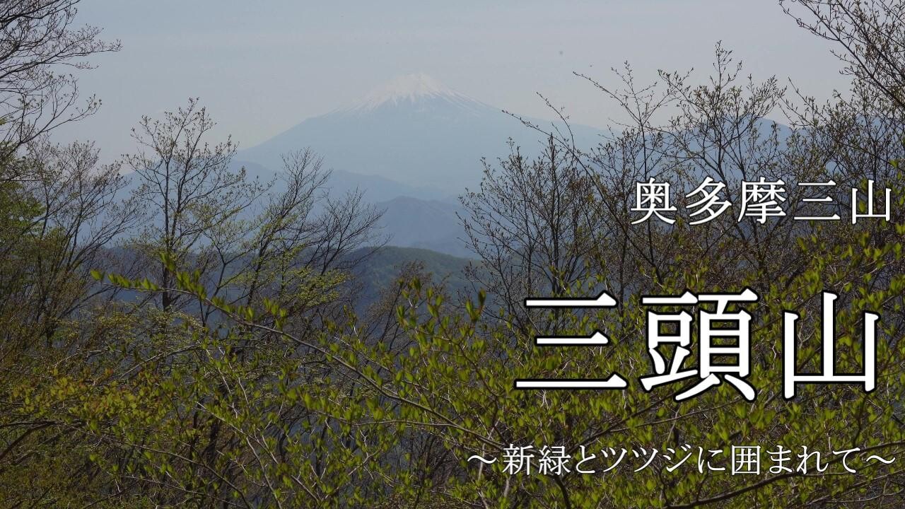 奥多摩三山 三頭山の動画を公開しました。... / デラ坊やさんのモーメント | YAMAP / ヤマップ