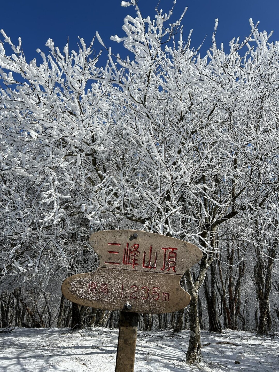 三峰山 / try4さんの三峰山・学能堂山・栗ノ木岳の活動データ | YAMAP / ヤマップ