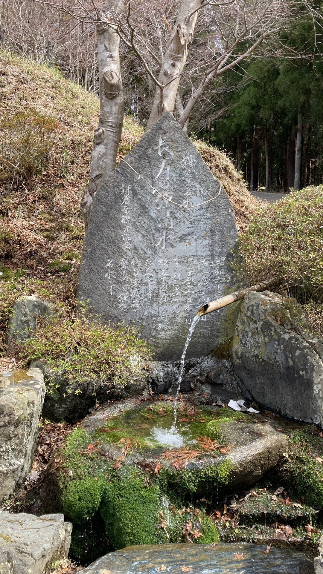 今日はちょっとドライブ🚗 ①鎌倉岳(竹... / tsyamaさんのモーメント | YAMAP / ヤマップ