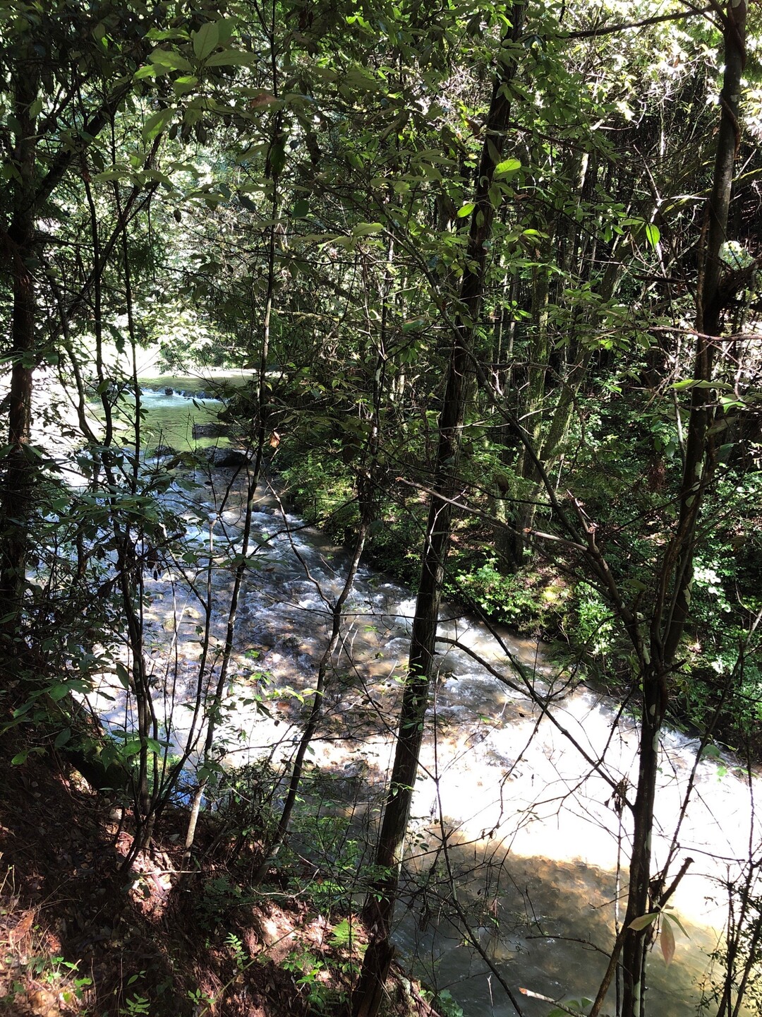 worryさんの投稿したフィールドメモ | YAMAP / ヤマップ