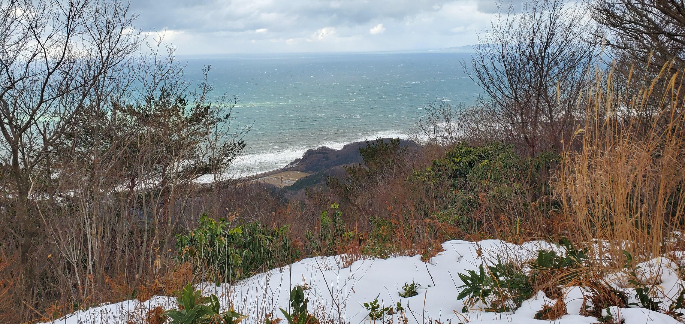 能化山 2024-12-24 / sakaさんの下渡山の活動データ | YAMAP / ヤマップ