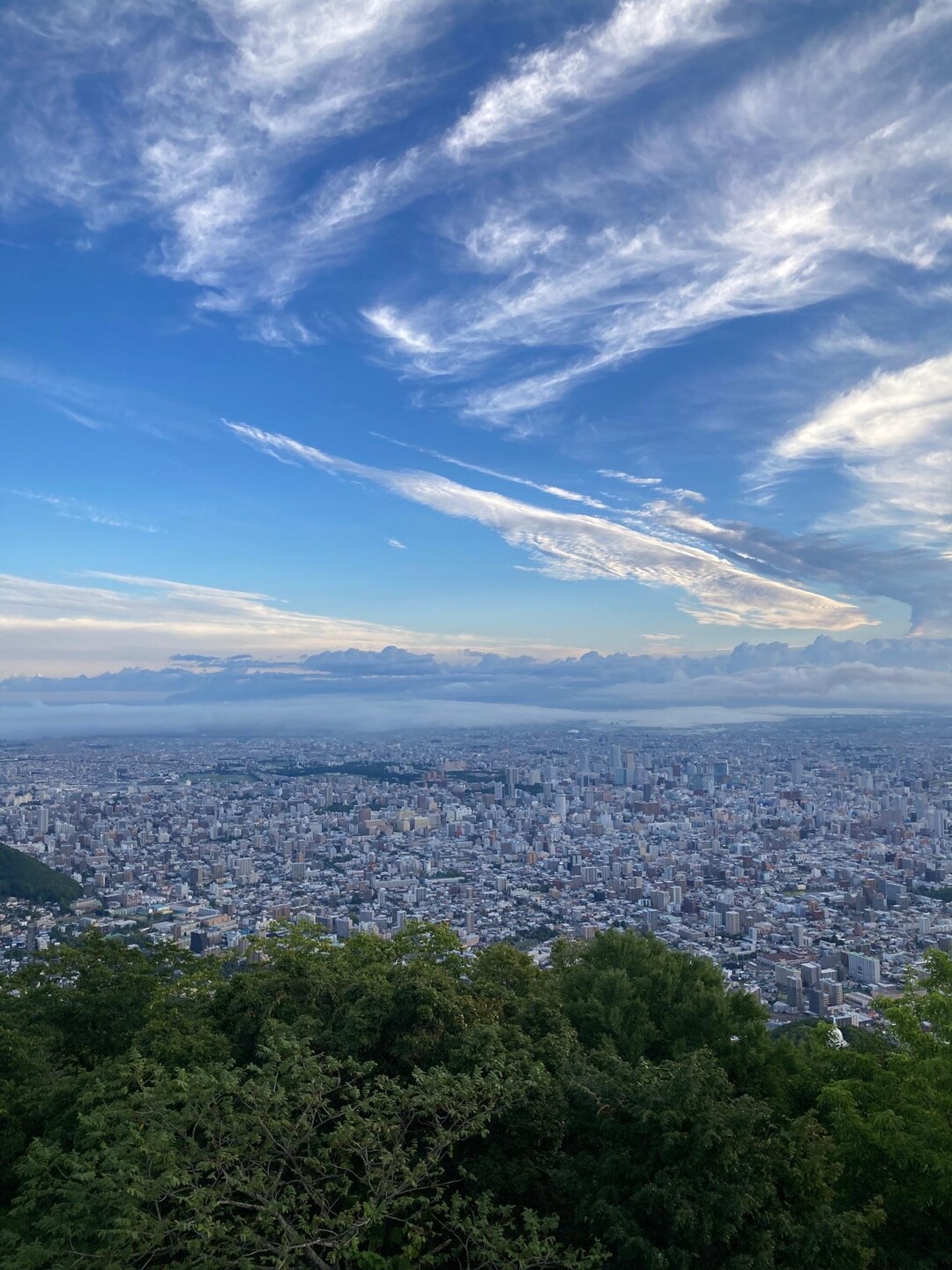 藻岩山〜新日本三大夜景の朝 / tunepswさんの藻岩山の活動データ | YAMAP / ヤマップ
