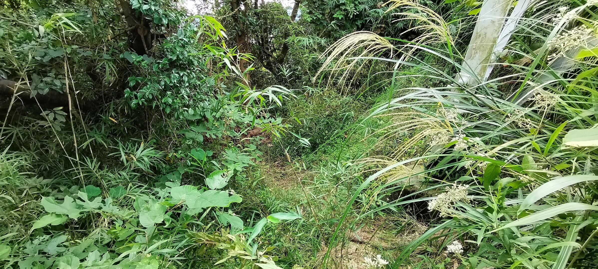 yusuke さんの投稿したフィールドメモ | YAMAP / ヤマップ