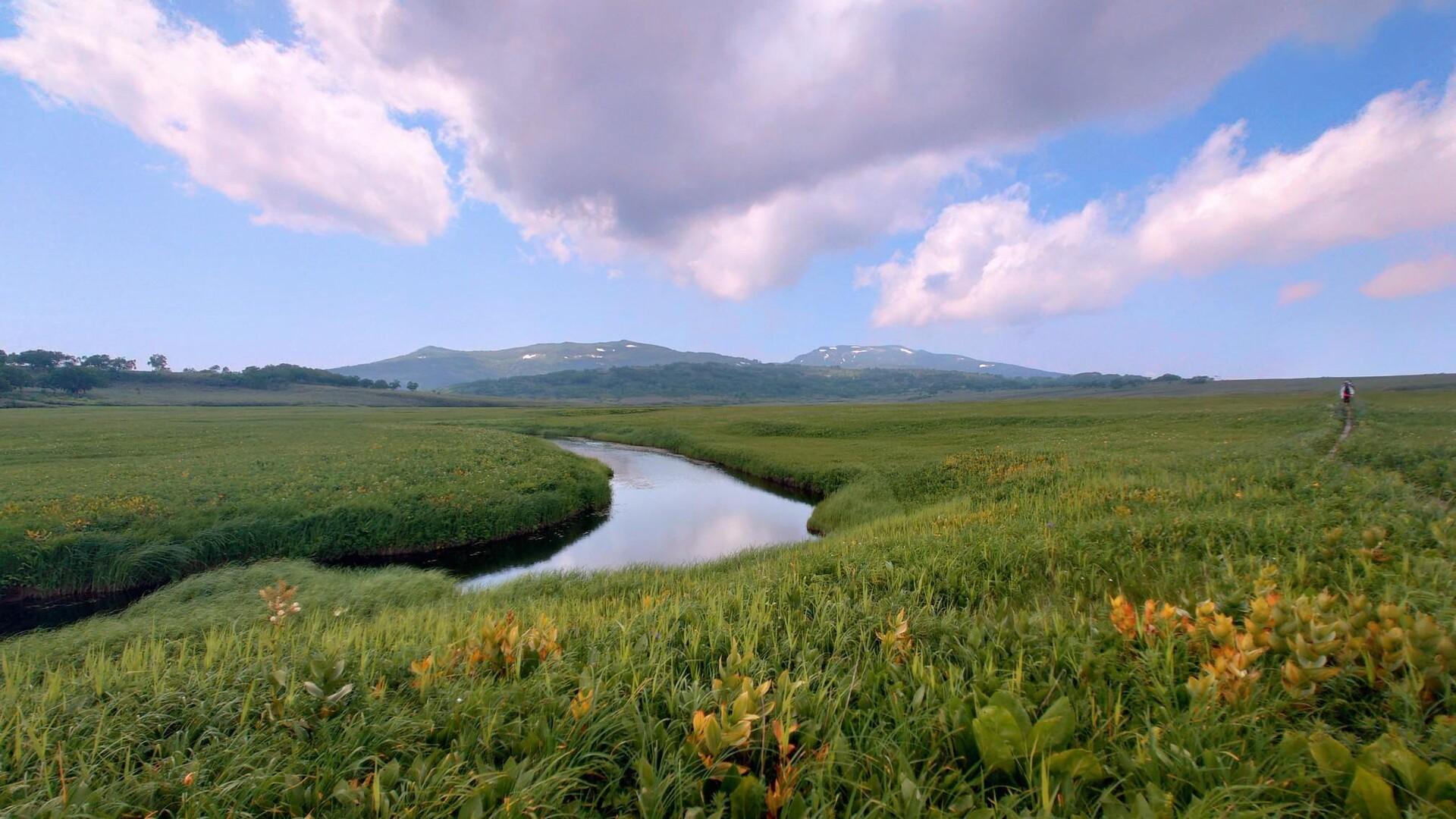 行くぜ、北海道② 雨竜沼湿原 / capetaさんの暑寒別岳の活動データ | YAMAP / ヤマップ