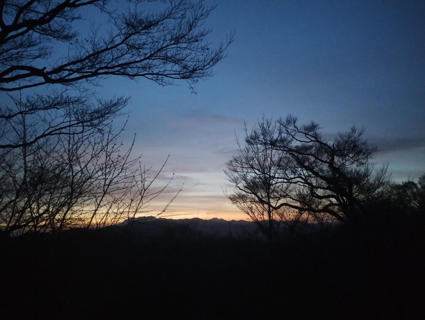 夜中に皿ヶ嶺 / 42insさんの皿ヶ嶺・梅ヶ谷山・うなめごの活動データ | YAMAP / ヤマップ