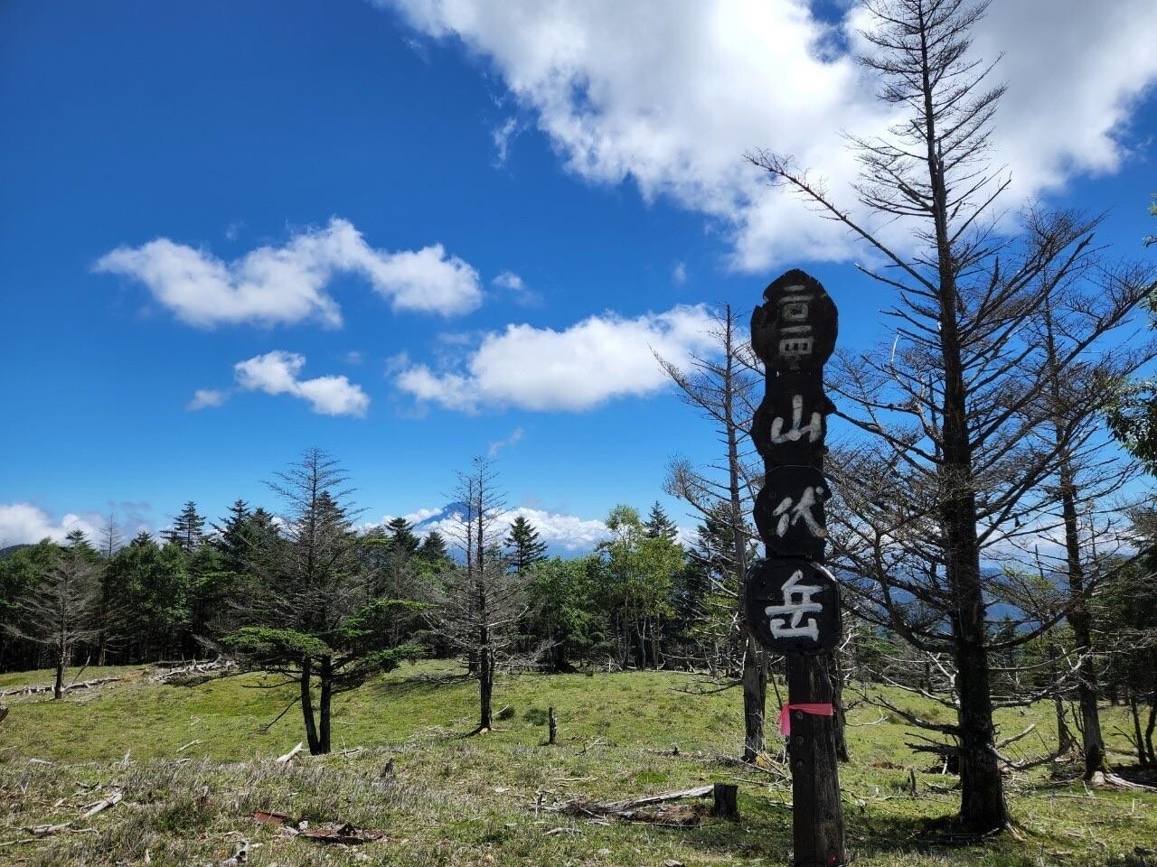 2023.08.11 山の日⛰山伏 / tmkさんの山伏・八紘嶺・笹山の活動データ | YAMAP / ヤマップ