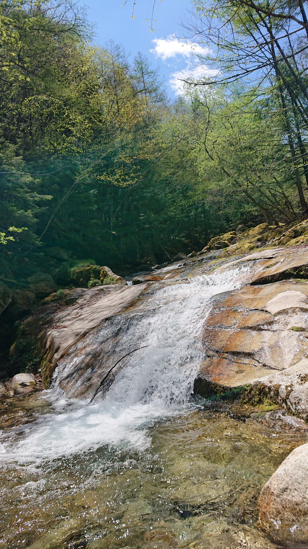 甲武信ヶ岳 / mastankさんの甲武信ヶ岳の活動データ | YAMAP / ヤマップ