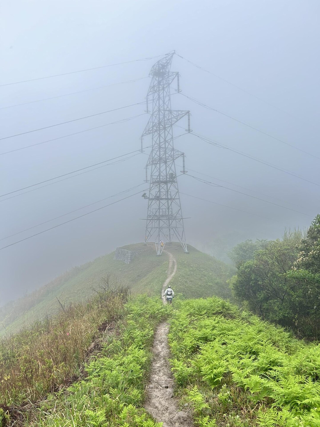2024 平尾台ﾄﾚｲﾙﾗﾝﾆﾝｸﾞﾚｰｽ⛰🏃‍♂️ / ryu_ich1さんの平尾台トレイルランニングレースの活動データ | YAMAP ...