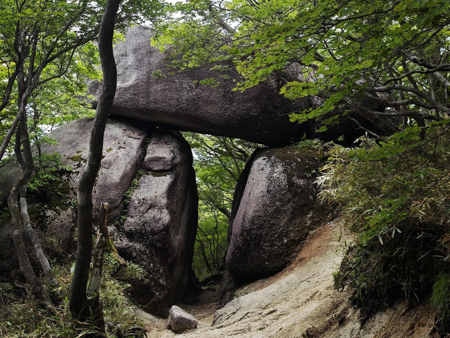 Rockの殿堂・御在所岳～国見尾根は手強かった / okaponさんの御在所岳（御在所山）・雨乞岳の活動データ | YAMAP / ヤマップ