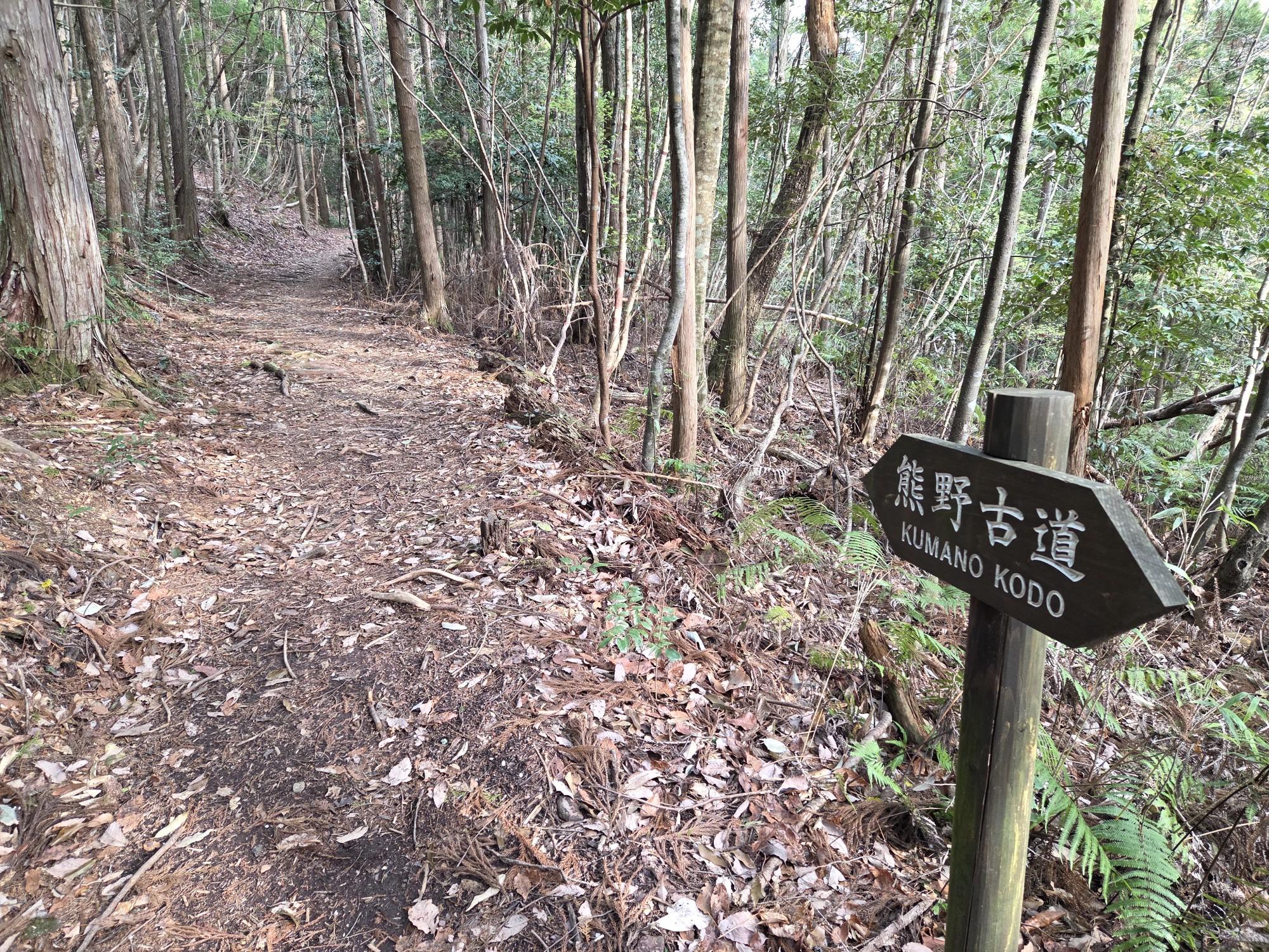 熊野古道中辺路&大日山 / hirobonさんの熊野古道 中辺路①（紀伊田辺駅〜熊野本宮大社）の活動データ | YAMAP / ヤマップ