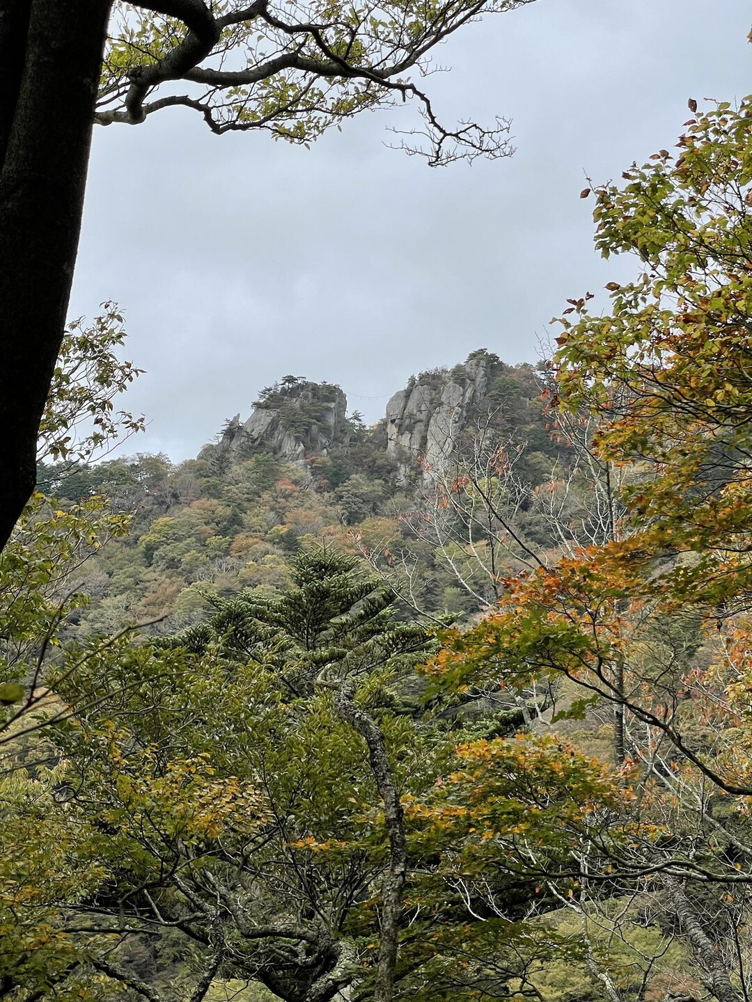 1年ぶりに二ッ箭山へ ️ / sammyくんさんの二ッ箭山・三森山・猫鳴山の活動日記 | YAMAP / ヤマップ