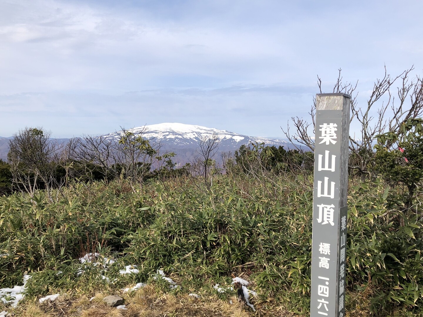 小僧森・大僧森・葉山・奥の院 / w823hさんの葉山の活動データ | YAMAP / ヤマップ