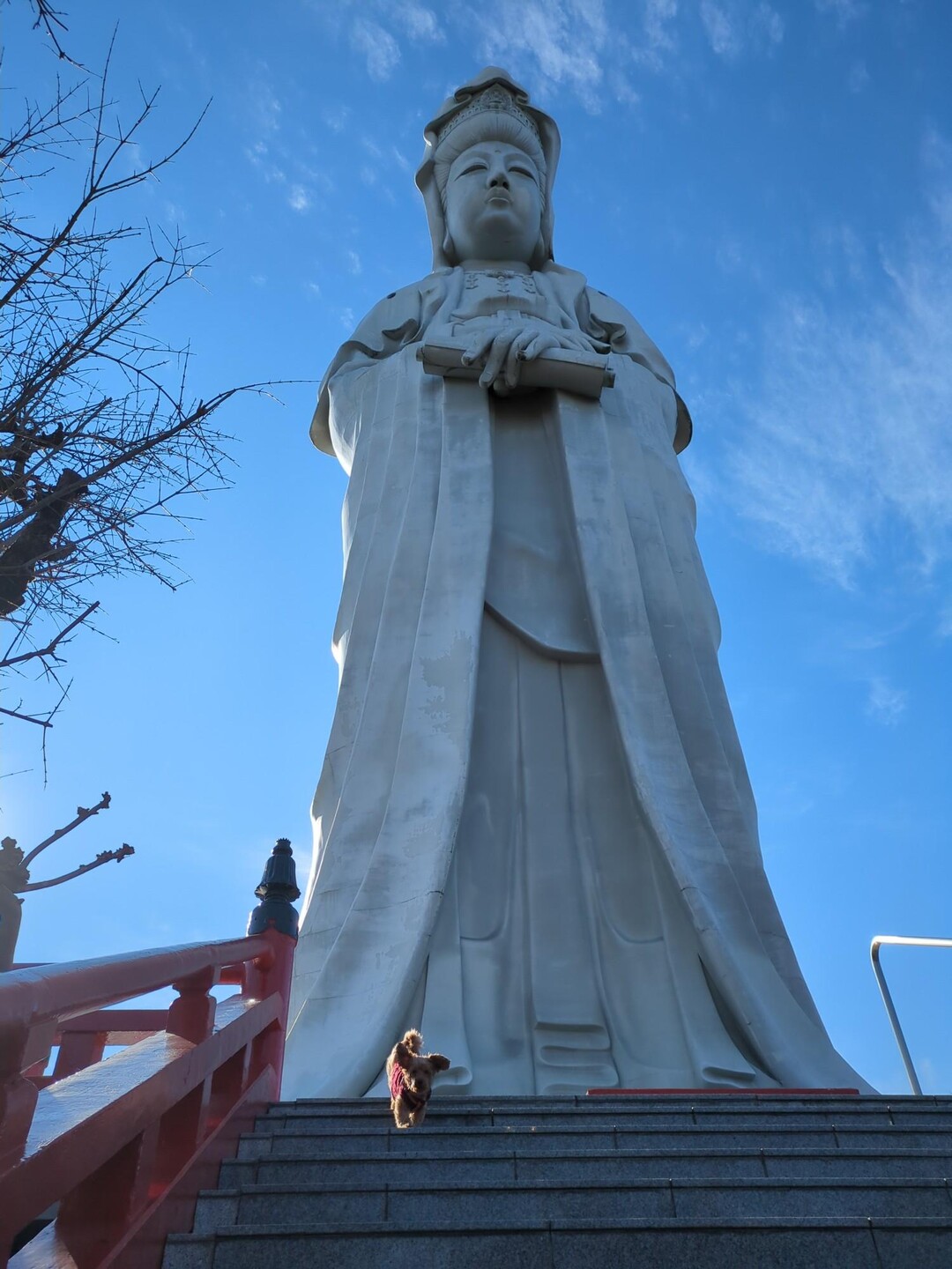 観音山 / reoさんの観音山の活動データ | YAMAP / ヤマップ