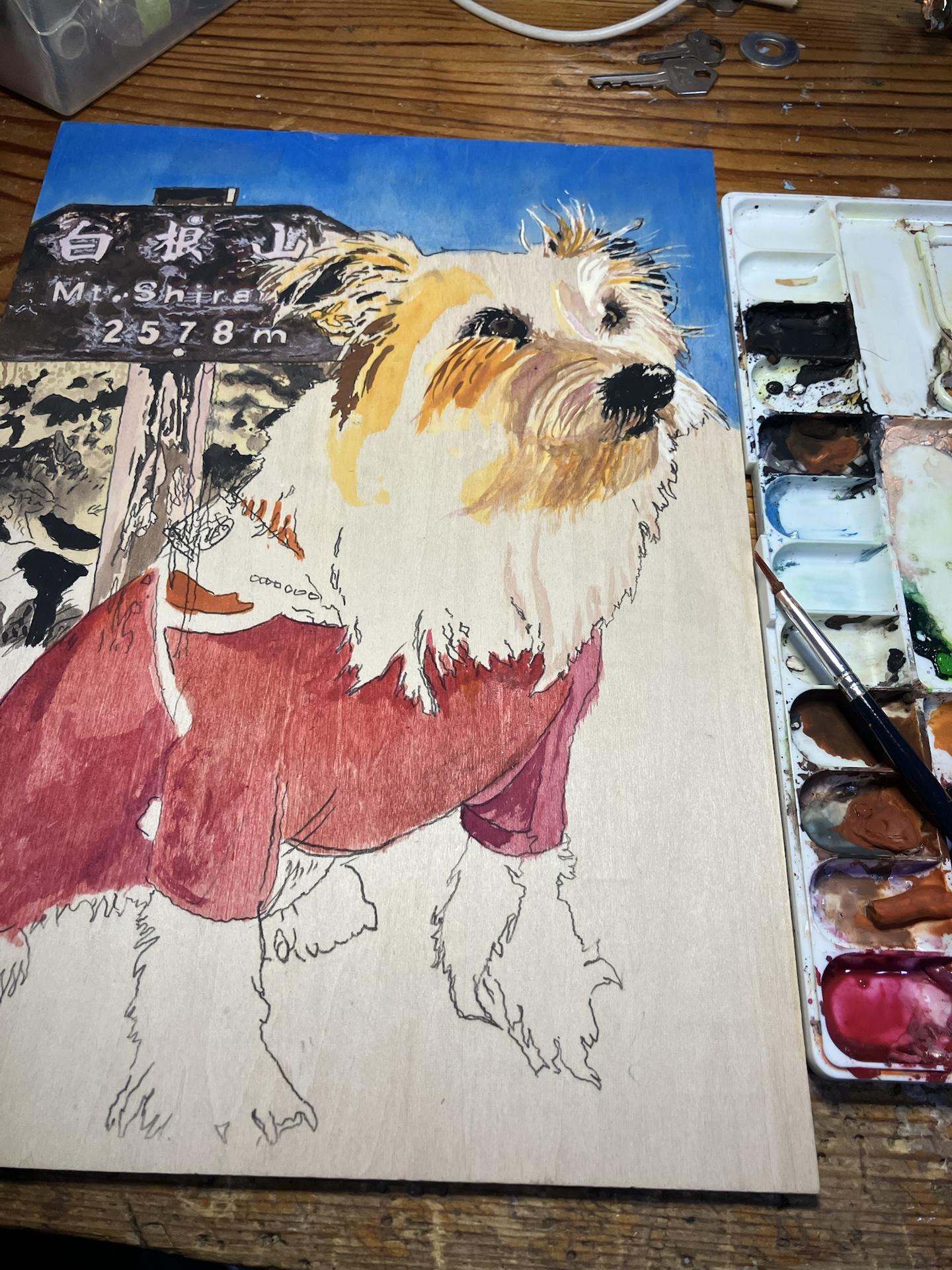 中々手がかけられず居たが日光白根山出会っ... / さちGさんのモーメント | YAMAP / ヤマップ