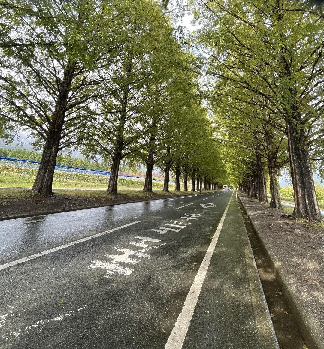 毎年恒例になってしまった母親 伯父伯母 ... / MIKOさんのモーメント | YAMAP / ヤマップ