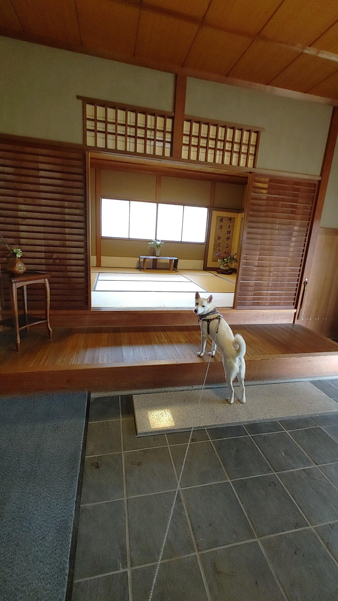 沼隈文化館🏫に寄り道しています👀👀... / GHハコさんのモーメント | YAMAP / ヤマップ