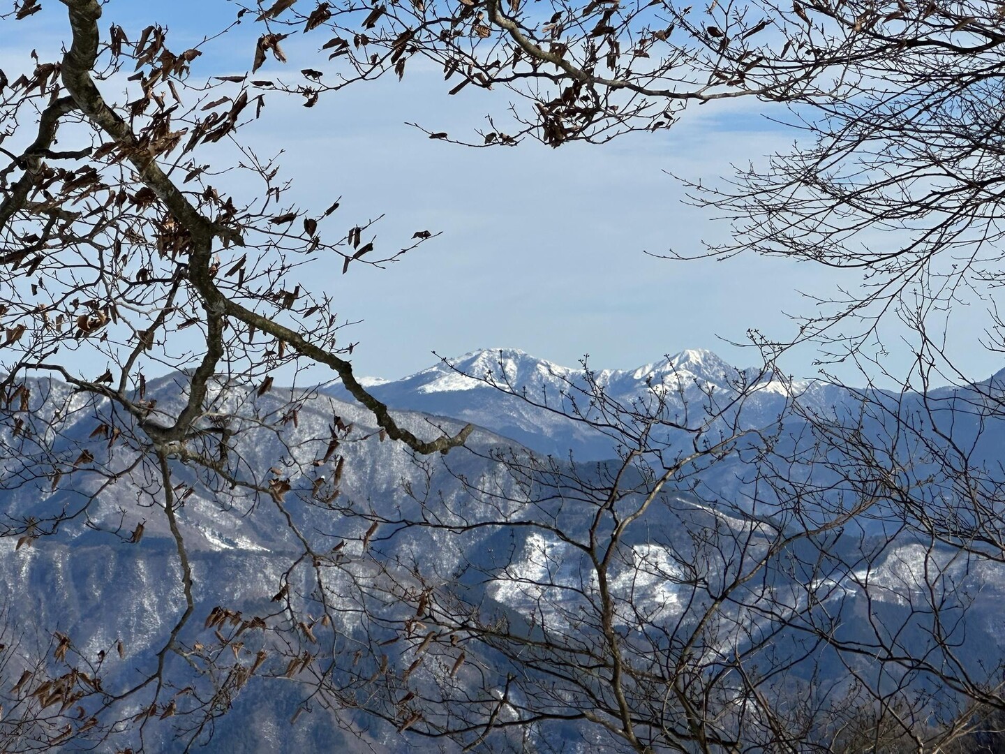 国見山 青空・山頂・霧氷は🥹 / boziiさんの国見山の活動データ | YAMAP / ヤマップ
