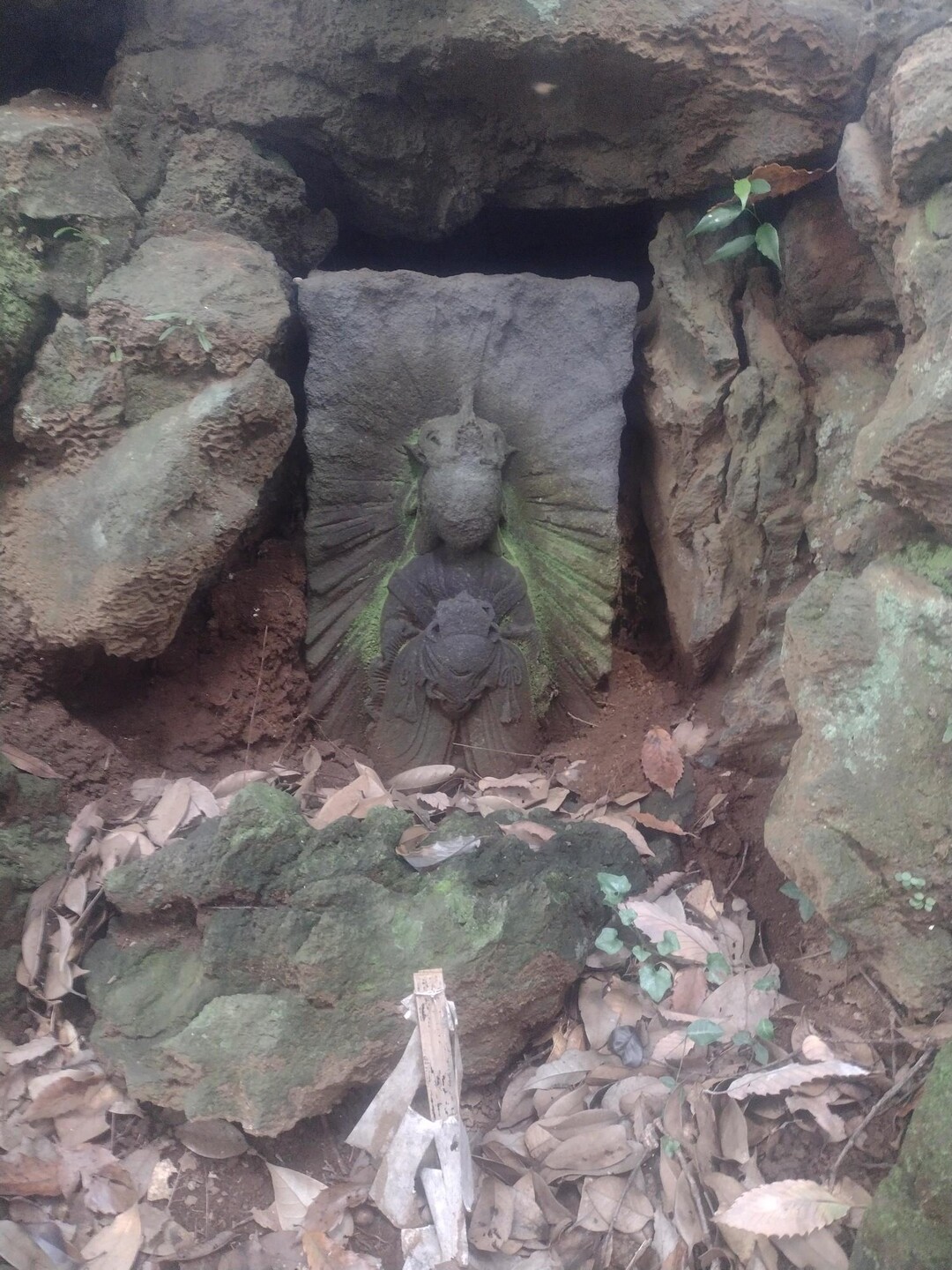 太田山周辺散策 / my-kyさんの木更津市の活動データ | YAMAP / ヤマップ