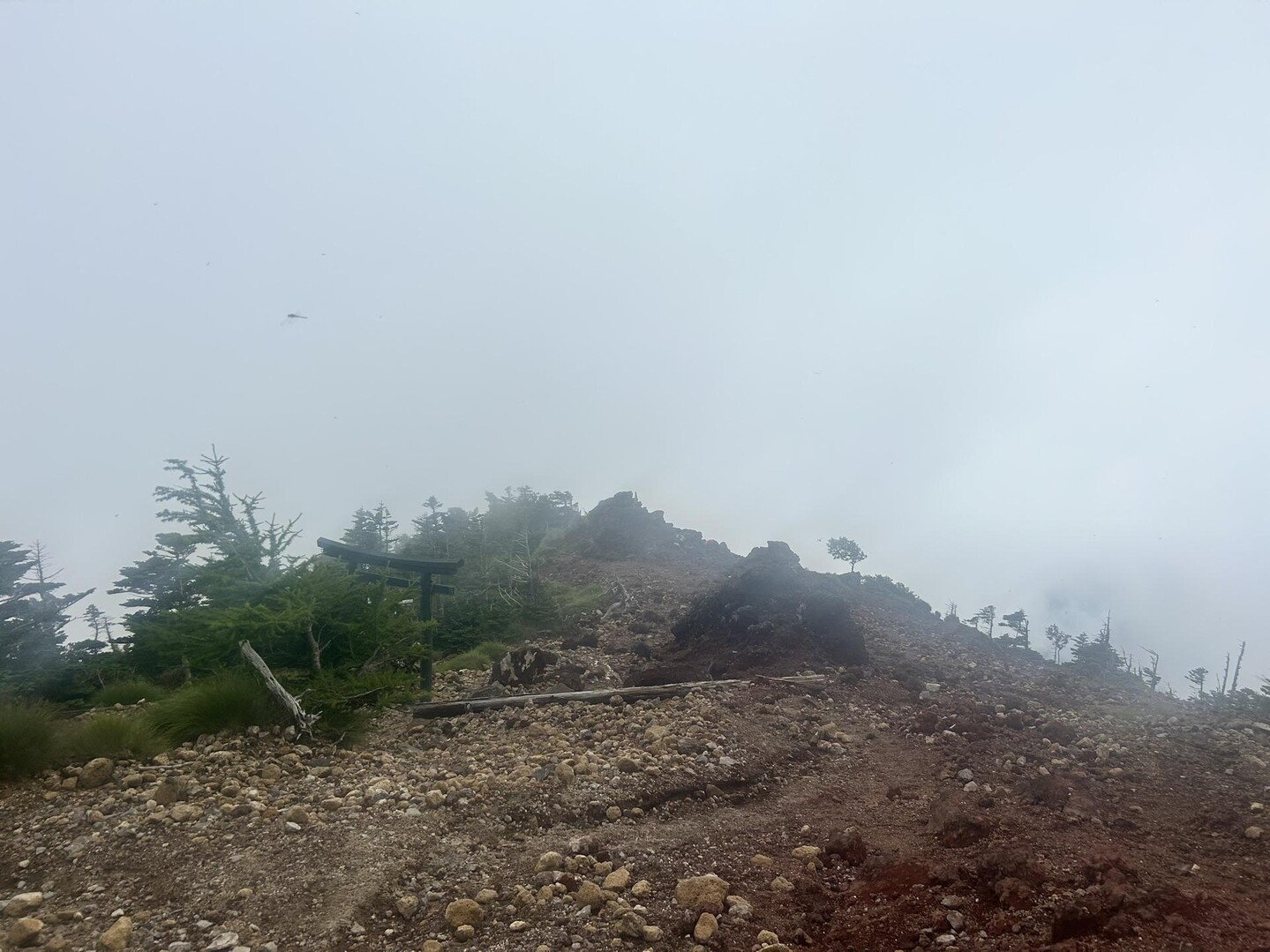 男体山-2023-08-21 / Ayumiさんの男体山の活動データ | YAMAP / ヤマップ