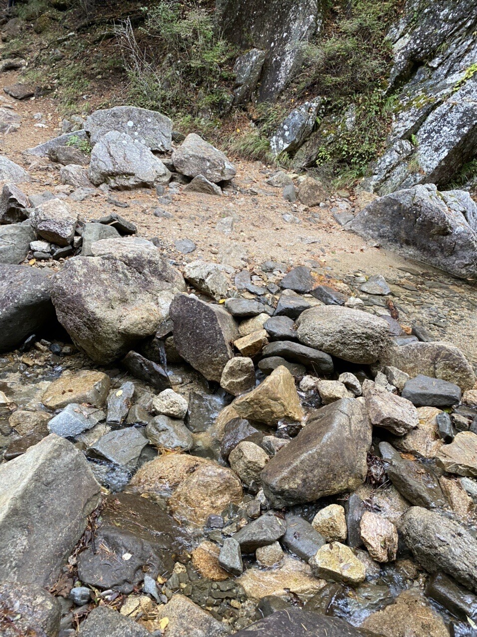 Moonkeyさんの投稿したフィールドメモ | YAMAP / ヤマップ