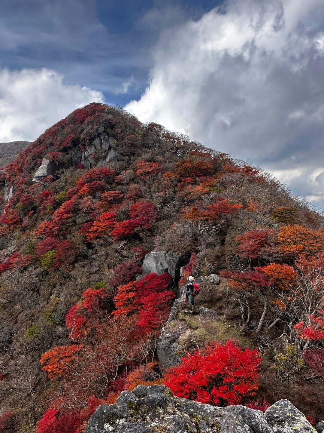北大船山・大船山 / ひー ️さんの九重山（久住山）・大船山・星生山の活動データ | YAMAP / ヤマップ