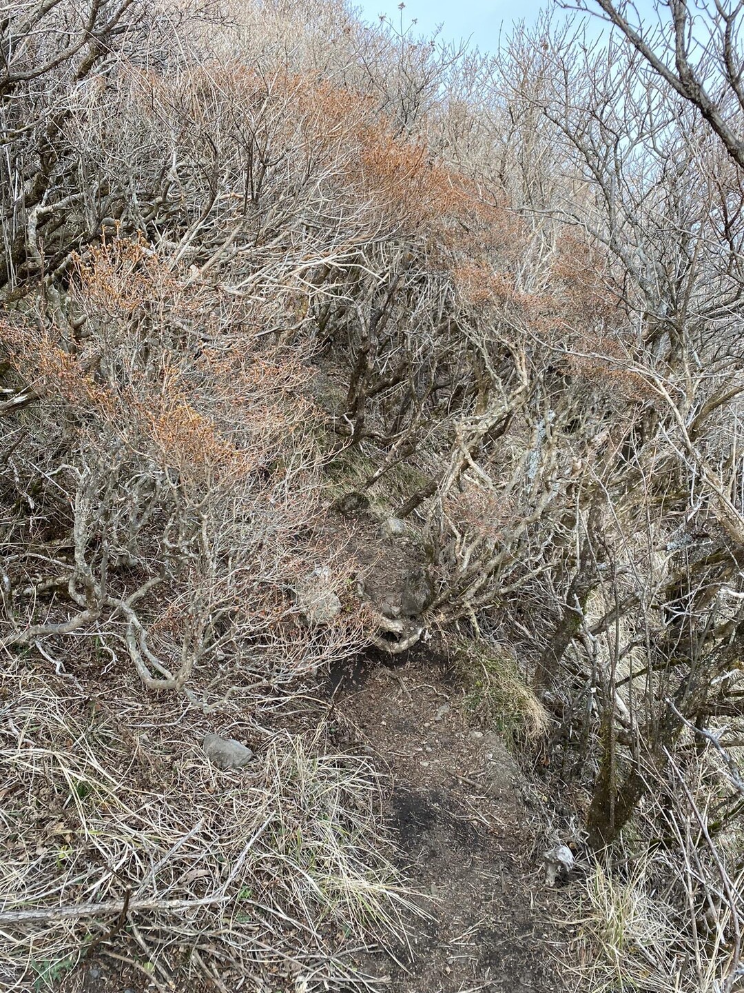 Gentil15さんの投稿したフィールドメモ | YAMAP / ヤマップ